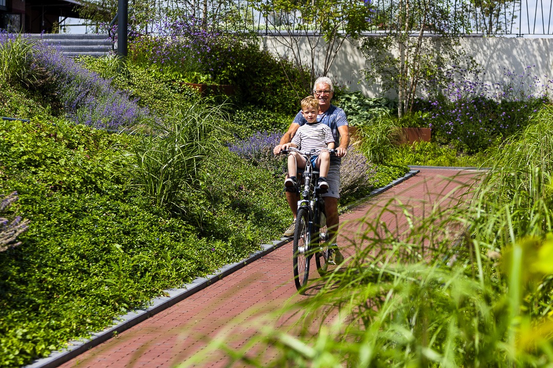 Openbare ruimte Dieren - WACO Groen